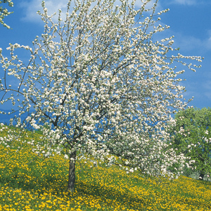 Bilder - Sommer | Medienarchiv der Österreich Werbung - Bilder zu ...